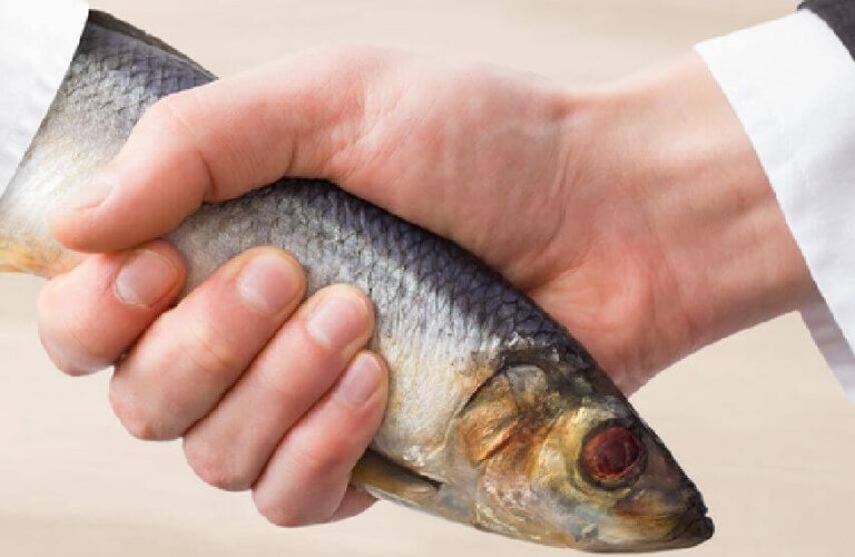 Como Identificar Um Falso Amigo A Mente é Maravilhosa